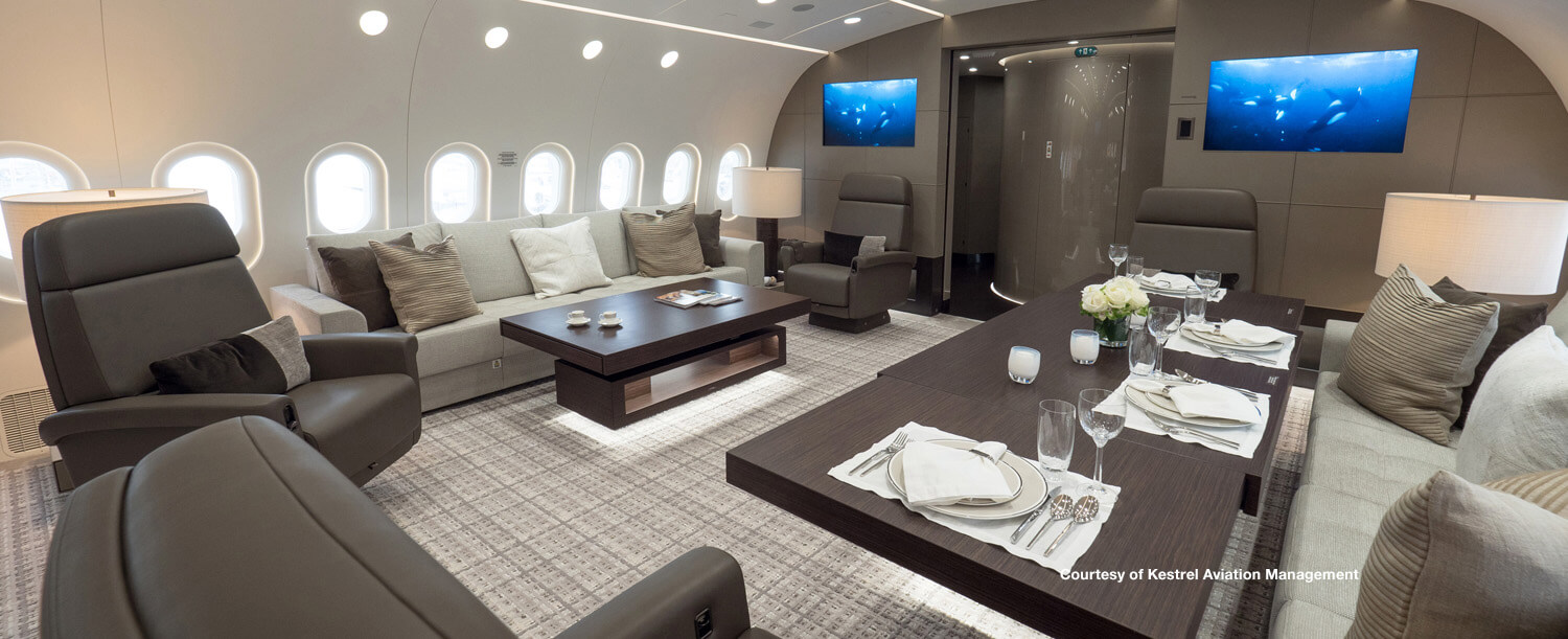 Inside the Boeing 787 Dreamliner private jet, price, range and seating ...