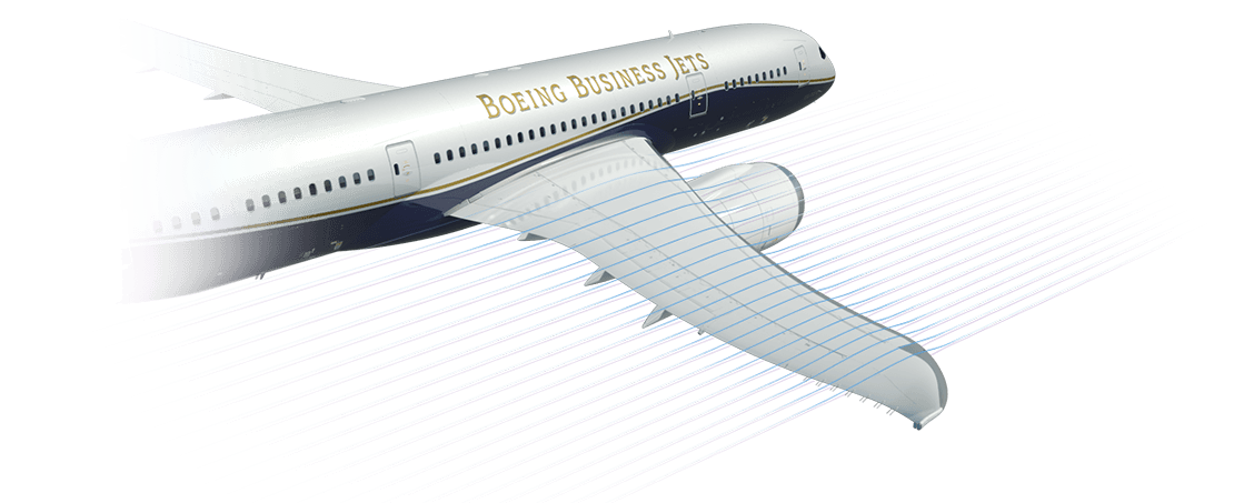 Inside the Boeing 787 Dreamliner private jet, price, range and seating ...